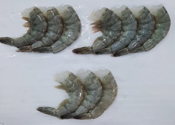 Shrimp Vannamei HLSO - SUPER SEAFOODS
